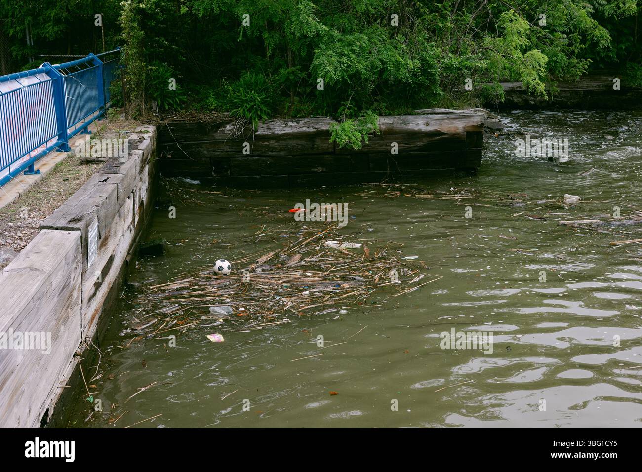Floating debris and litter accumulate along the riverbank, highlighting ...