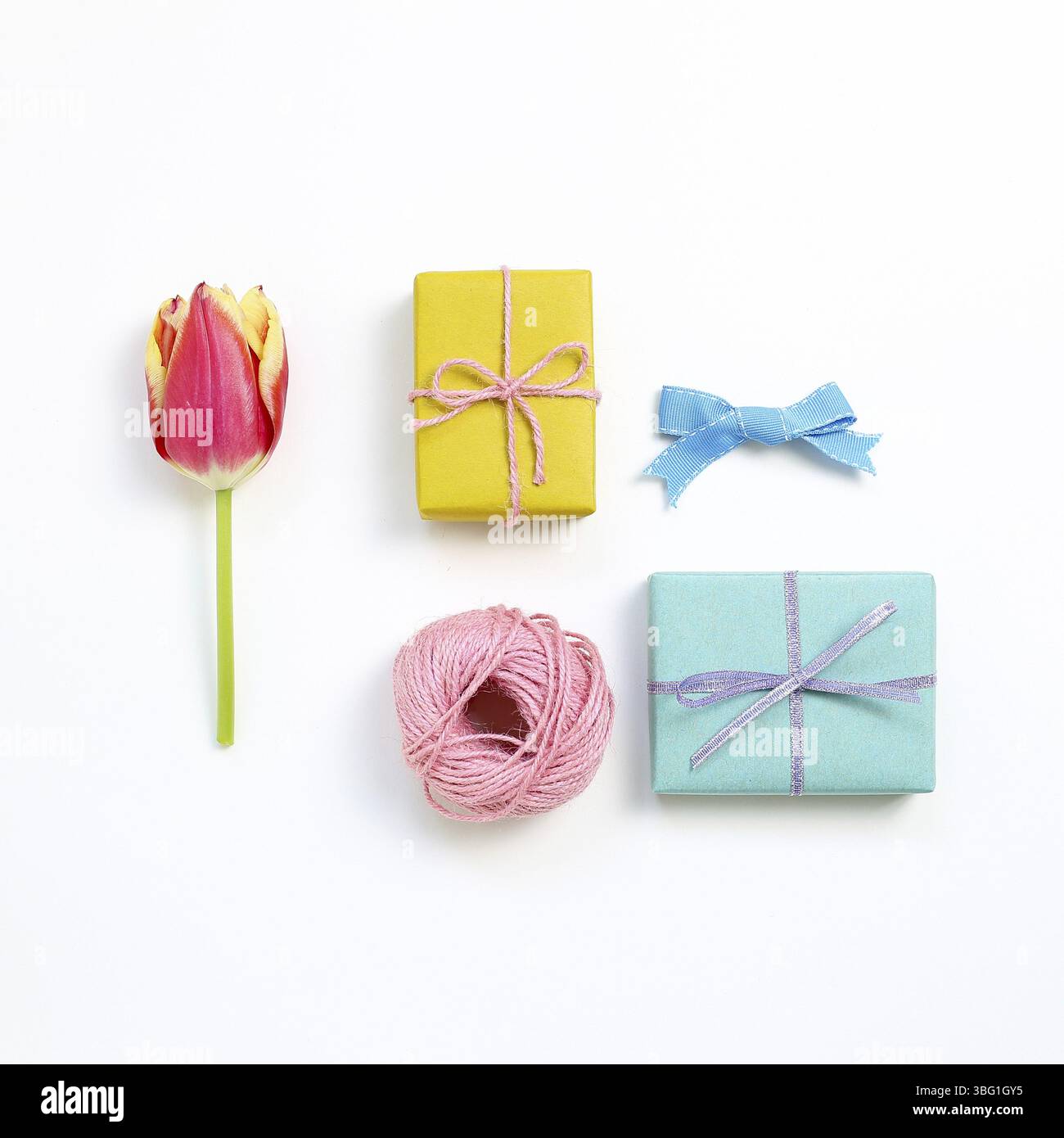 Box spring flower Cut Out Stock Images & Pictures - Alamy