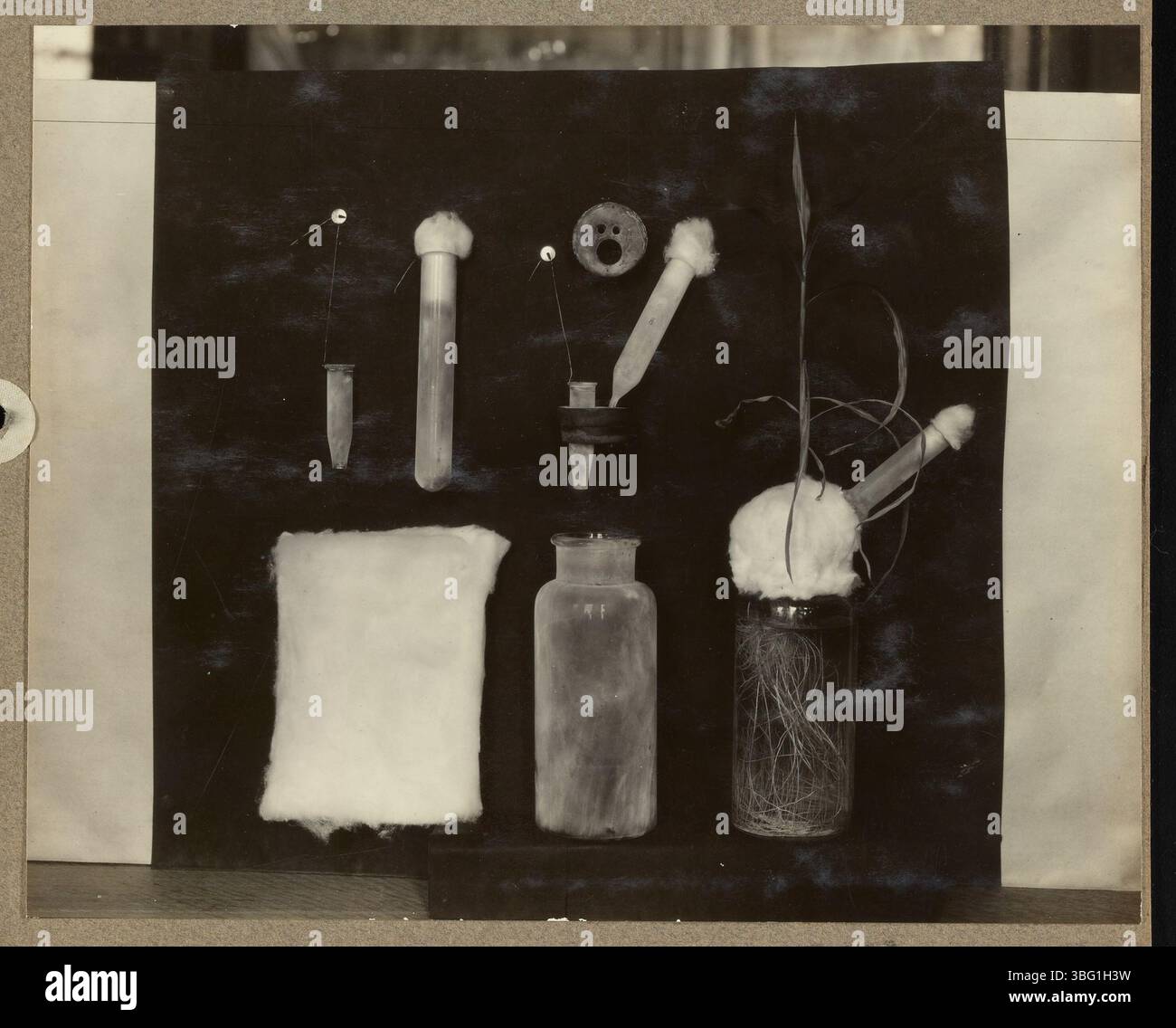 This image shows an apparatus used to grow plants under sterile ...