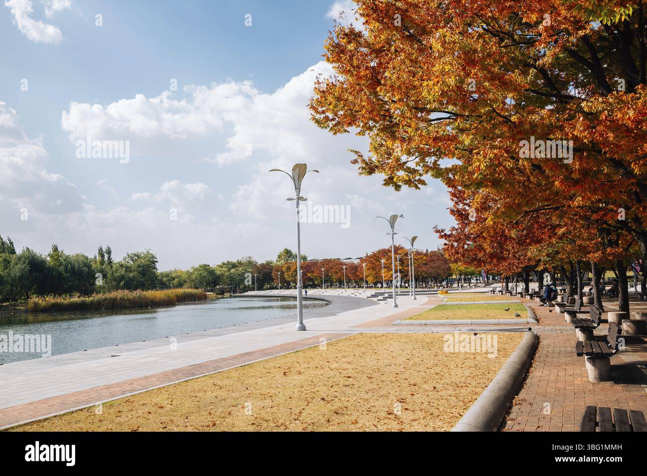 World Cup Park, Pyeonghwa park at autumn in Seoul, Korea Stock Photo ...