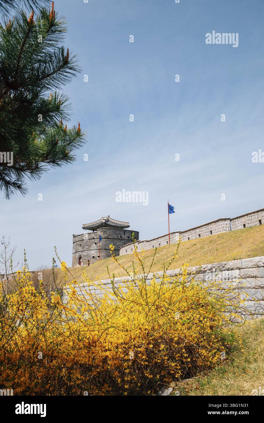 Hwaseong fortress spring in hi-res stock photography and images - Alamy