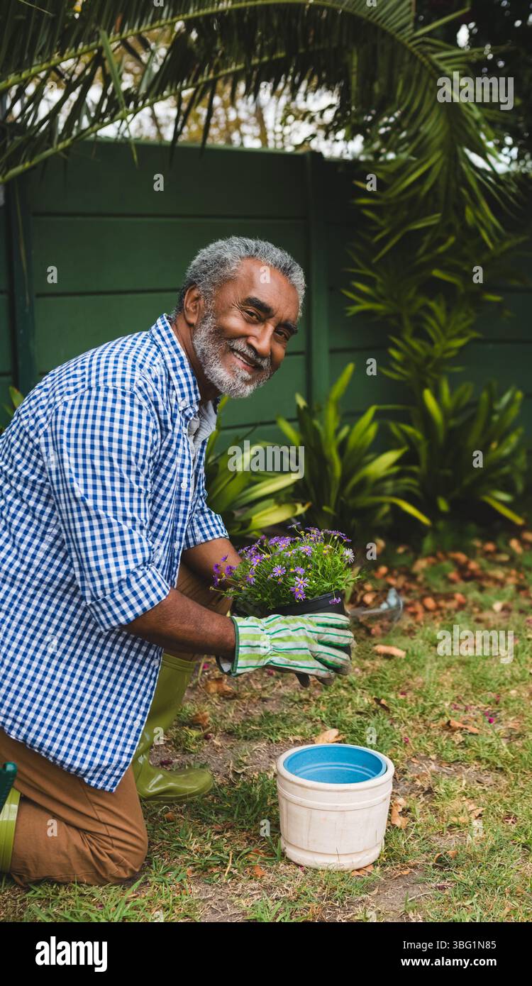 Senior African American man kneeling in garden holding purple potted ...