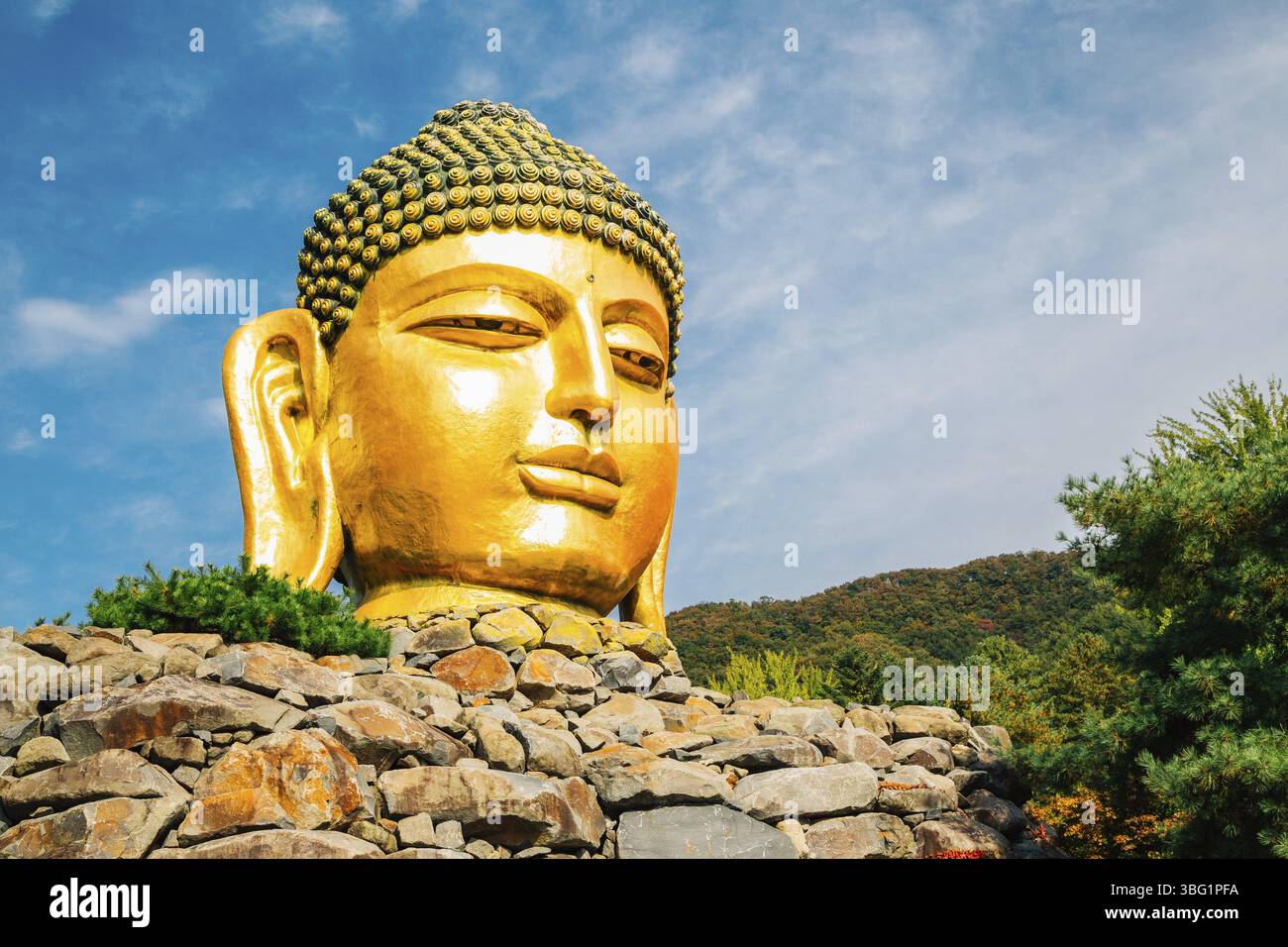 Golden buddha statue in Wawoo Temple, Korea Stock Photo - Alamy