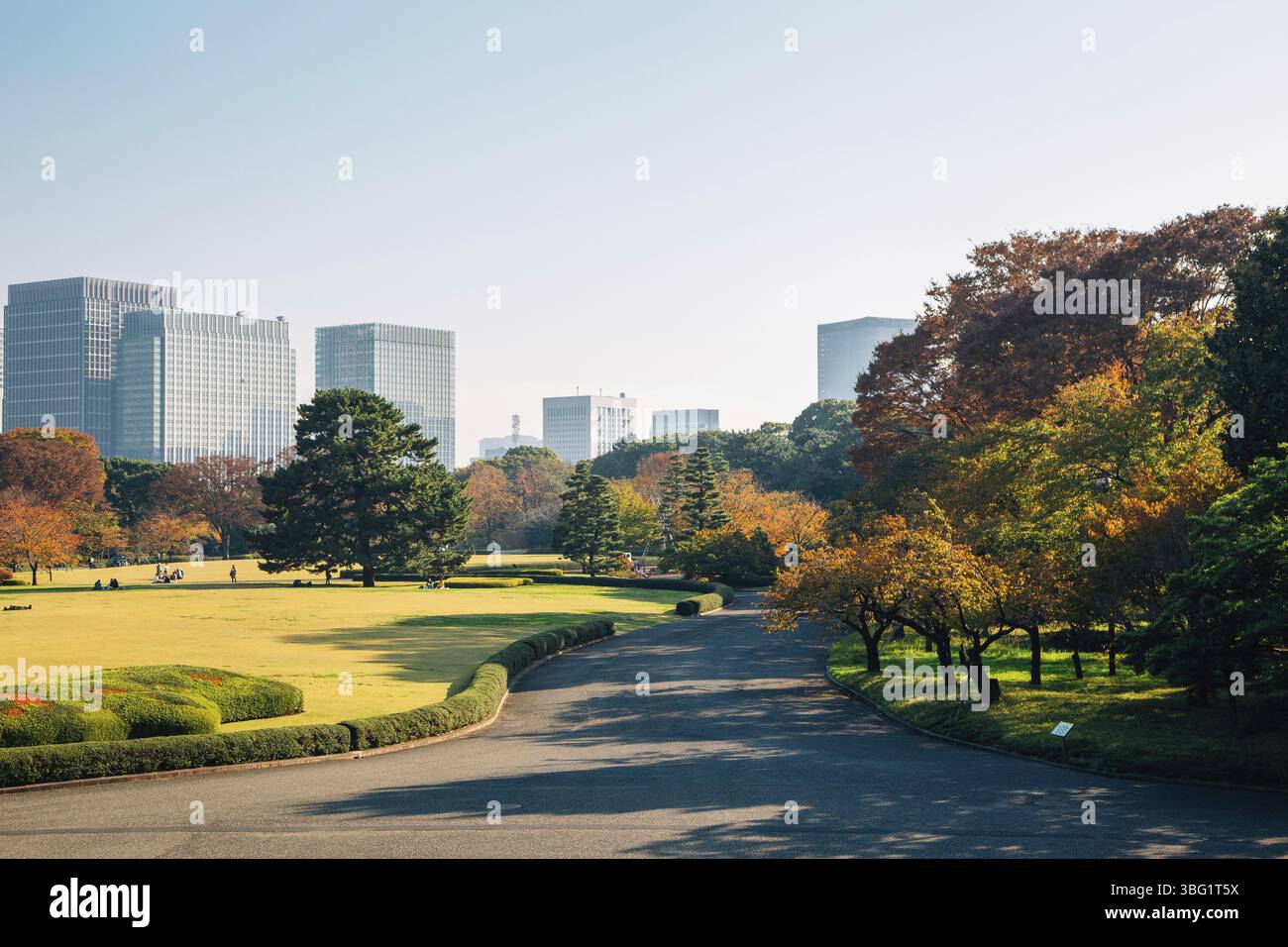 Imperial Palace East Gardens and modern buildings at autumn in Tokyo ...