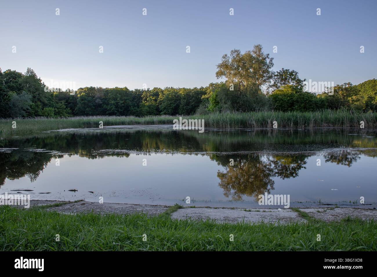 the trees in the forest and the sky reflected in the lake in the ...