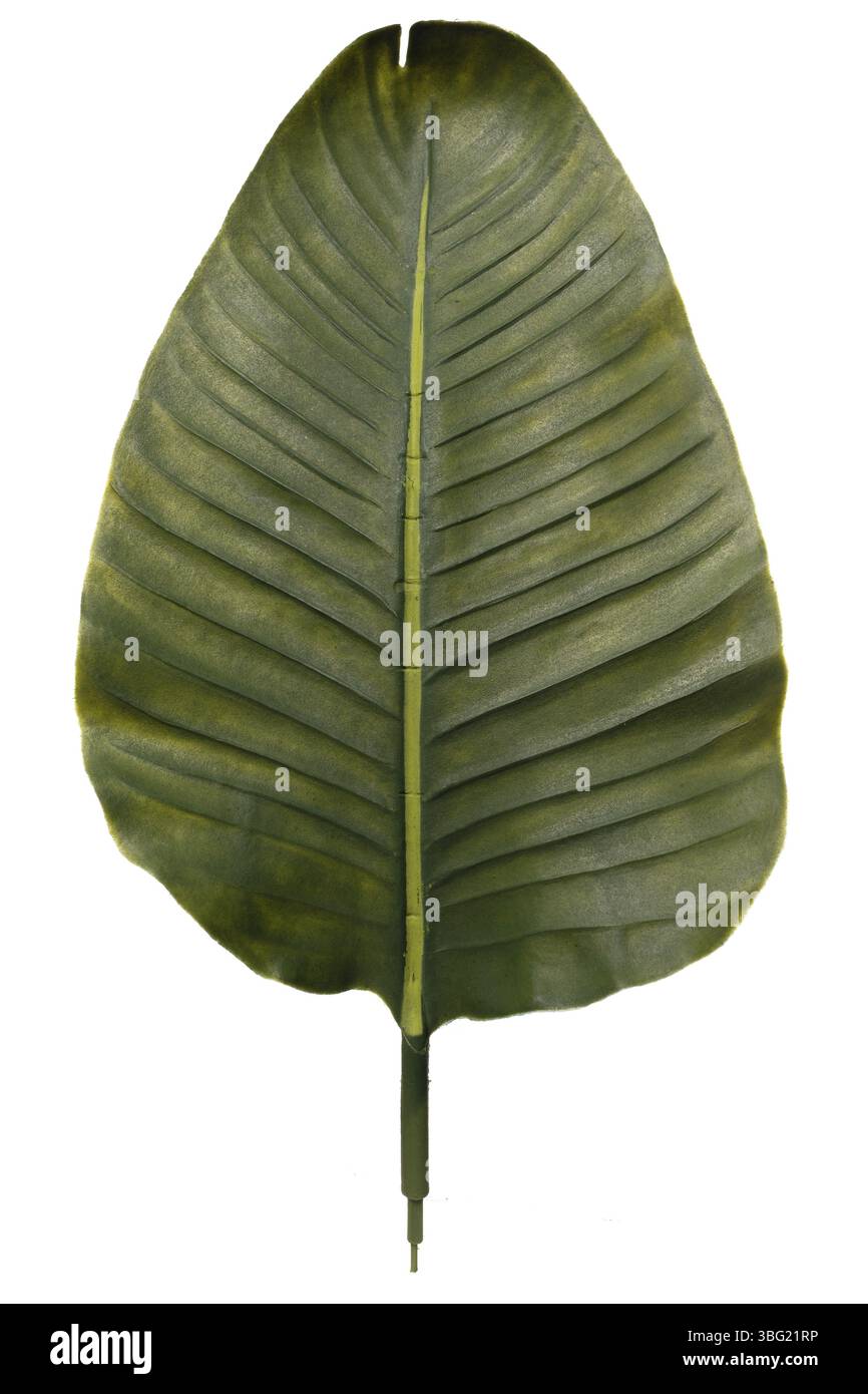 Indoor exhibits Cut Out Stock Images & Pictures - Alamy