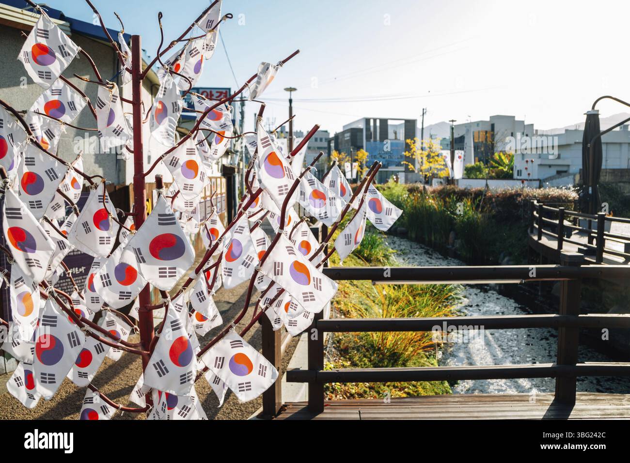 Korean national flag Taegeukgi at Haecheon Hangil movement theme street ...