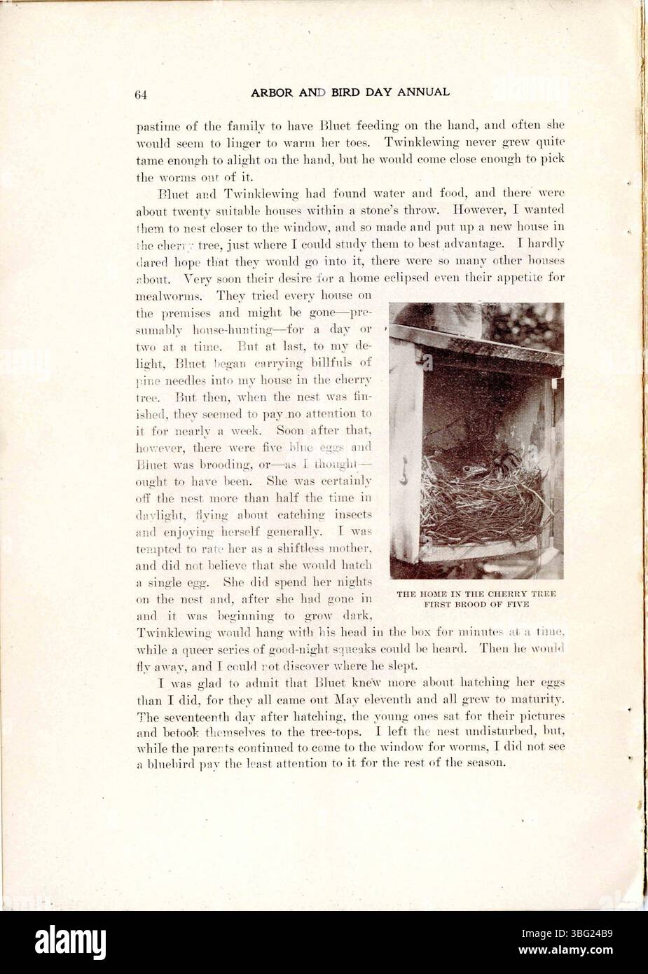 This 1905 Arbor and Bird Day program offers insights into Arbor and ...