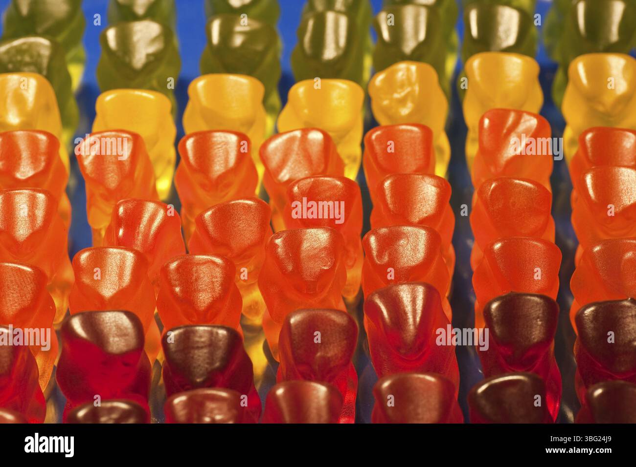 Group of rubber bears in different colours Stock Photo - Alamy