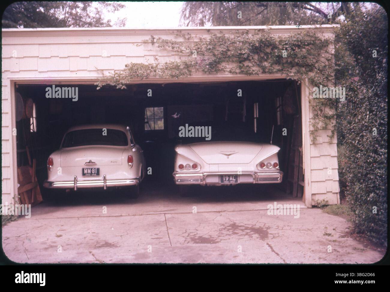 The Mosbacher family cars, a Packard and a Chevrolet Impala, parked in ...
