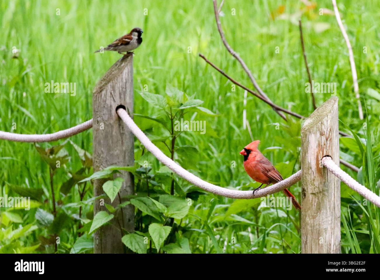 Montrose point bird sanctuary hi-res stock photography and images - Alamy