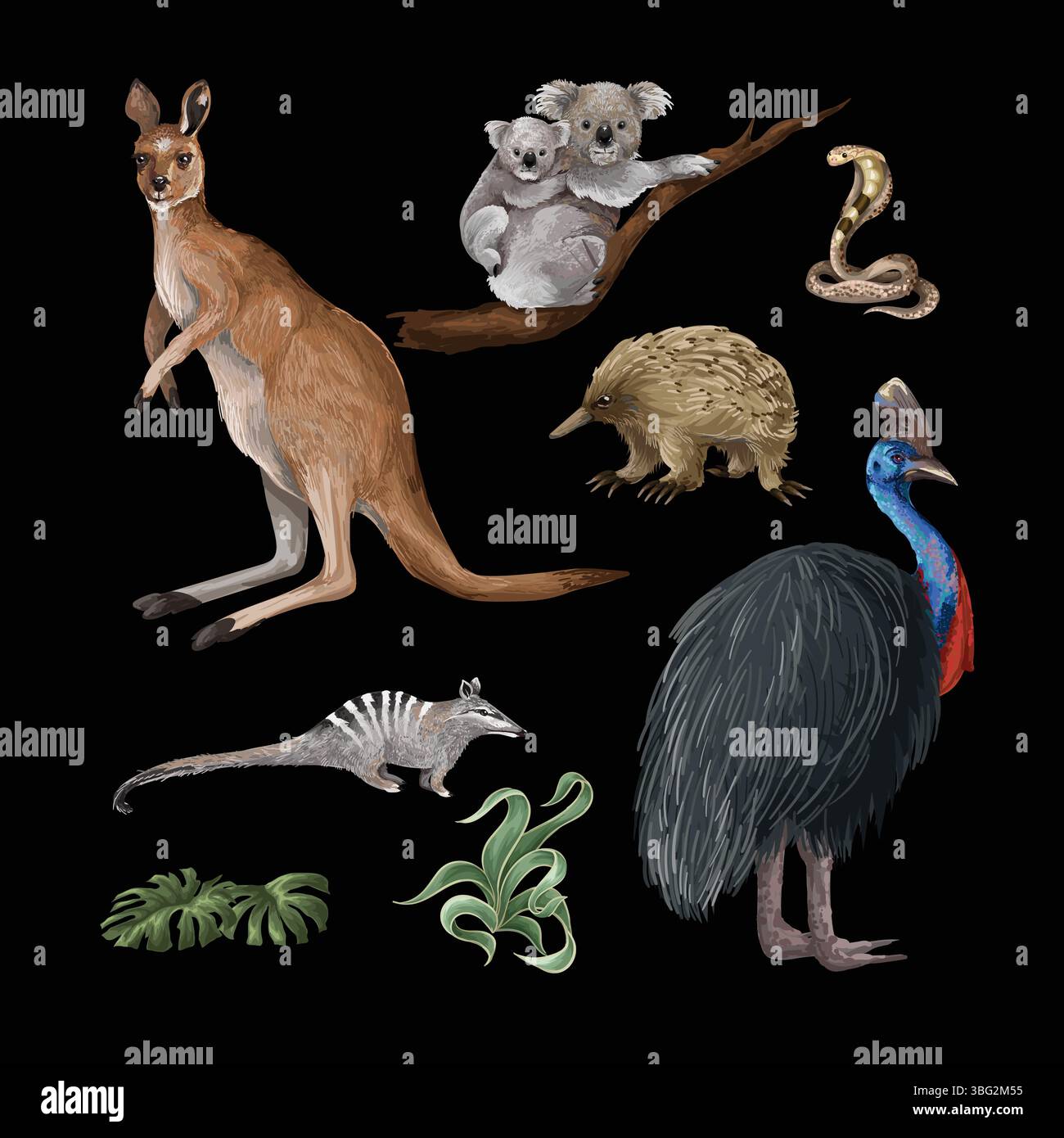 Australian animals and trees isolated. Vector Stock Vector Image & Art ...