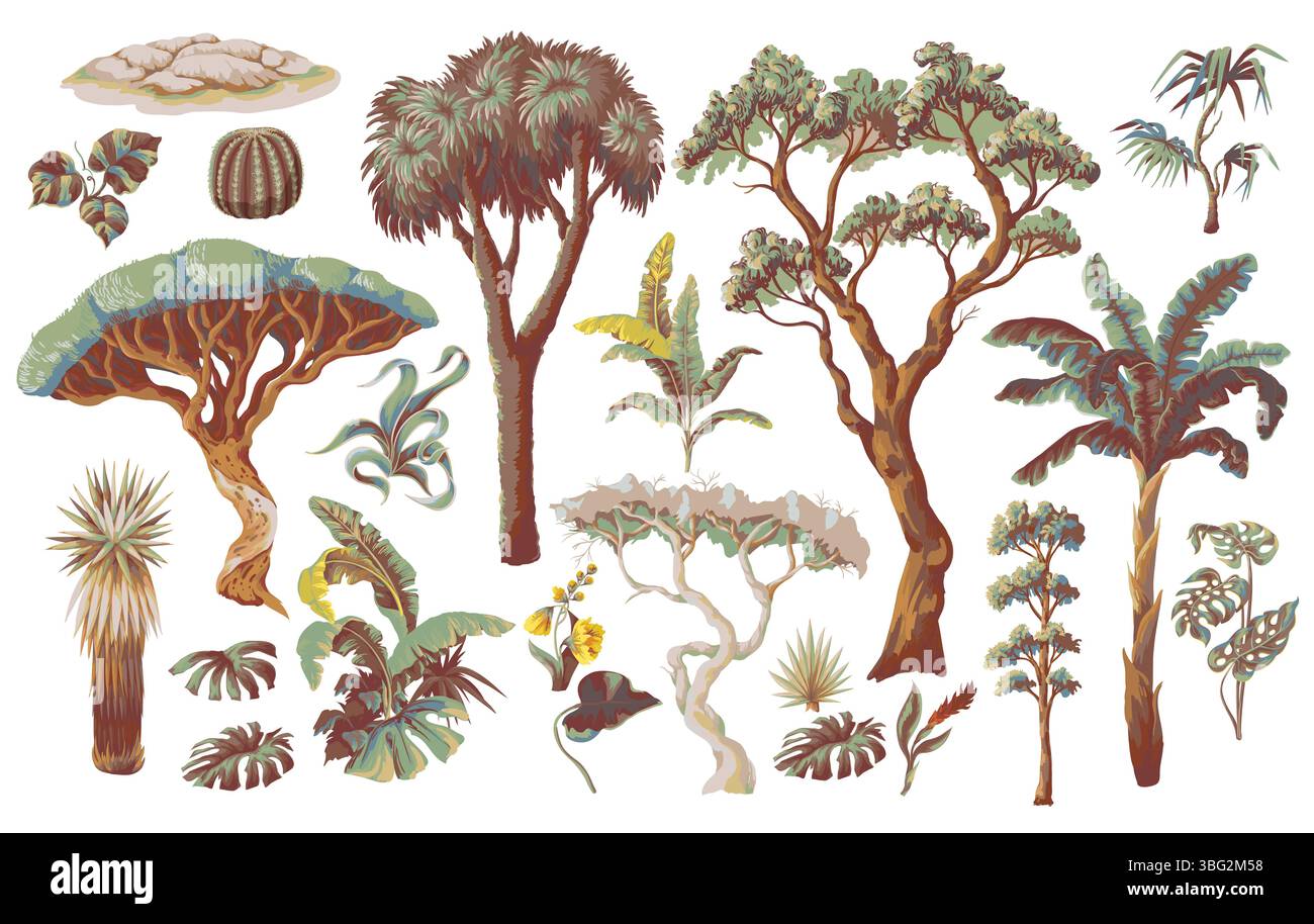 Australian animals and trees isolated. Vector Stock Vector Image & Art ...