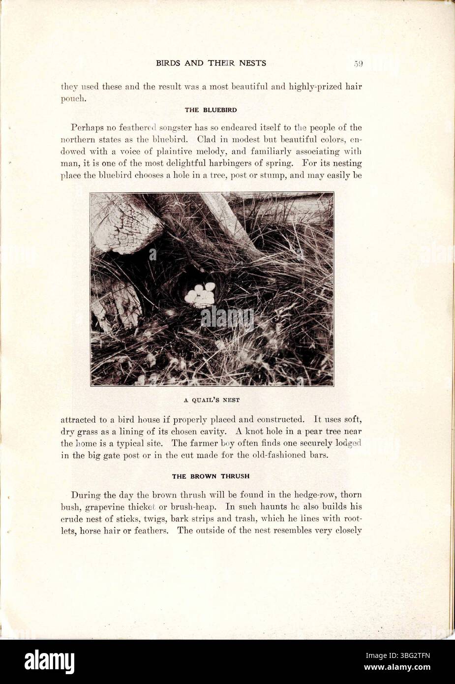 This page of the 1905 Arbor and Bird Day program covers tree planting ...