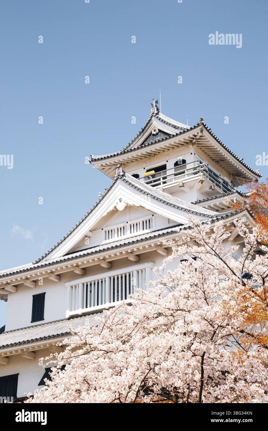 Asia flowering hi-res stock photography and images - Alamy