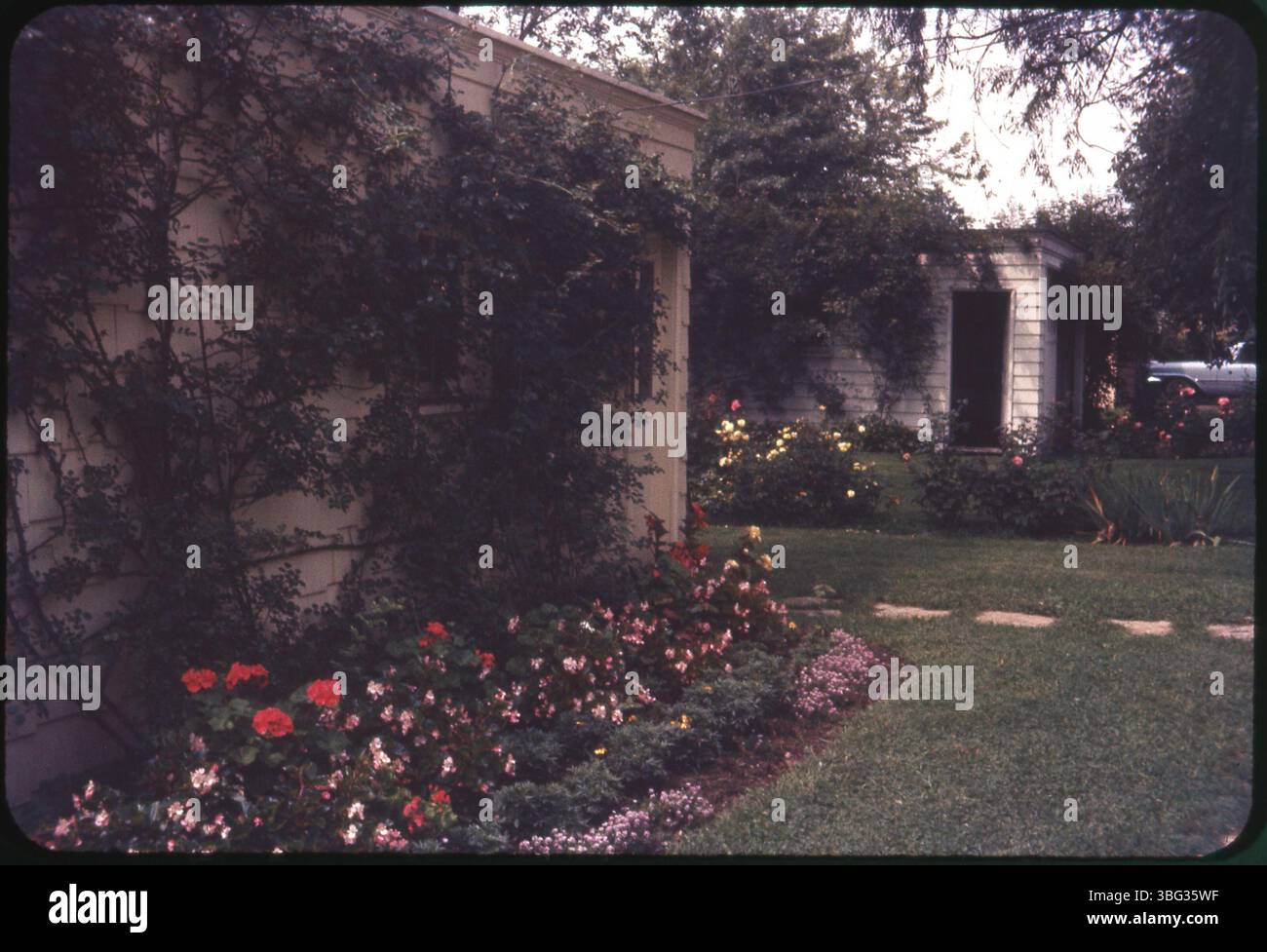 This photograph depicts a flower garden in the backyard of the ...