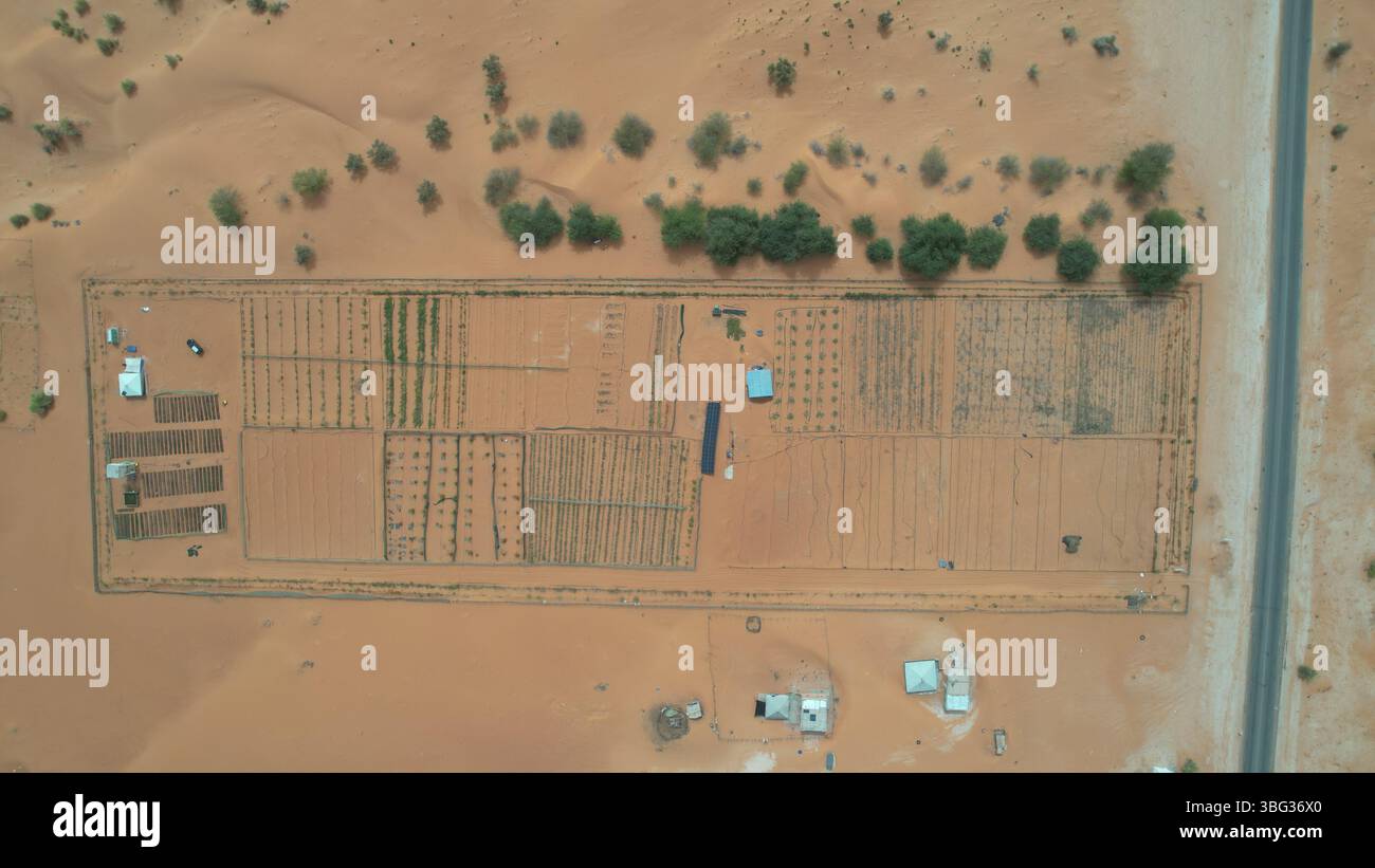 (250603) -- BIR EL BARKA (MAURITANIA), June 3, 2025 (Xinhua) -- An ...