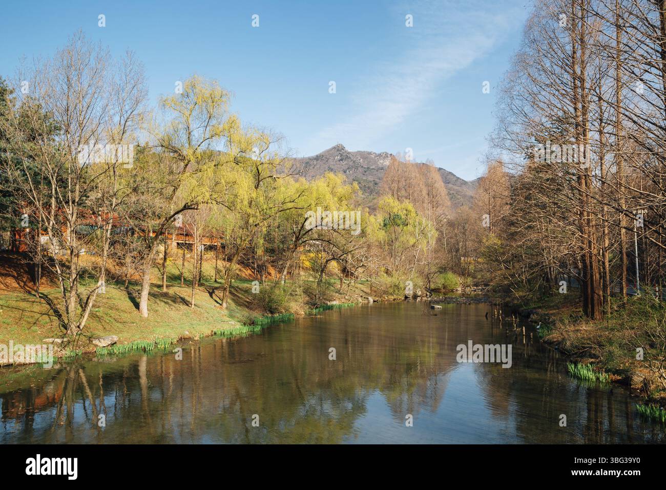 Spring of Seoul grand park in Gwacheon, Korea Stock Photo - Alamy