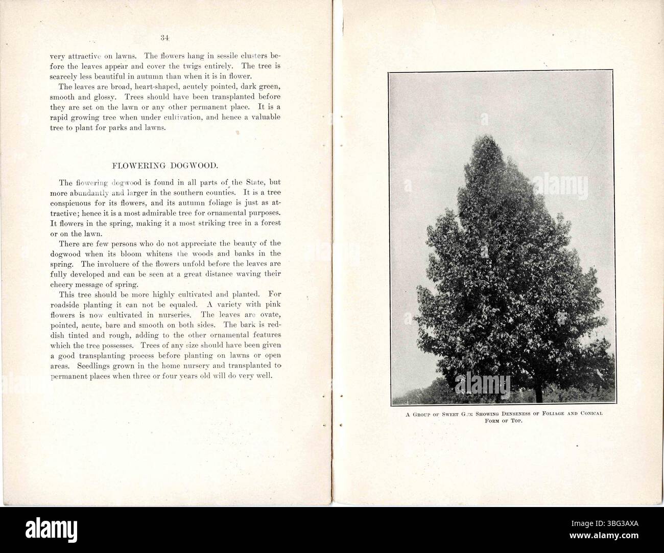 This is the 1903 Arbor and Bird Day program, featuring the history of ...