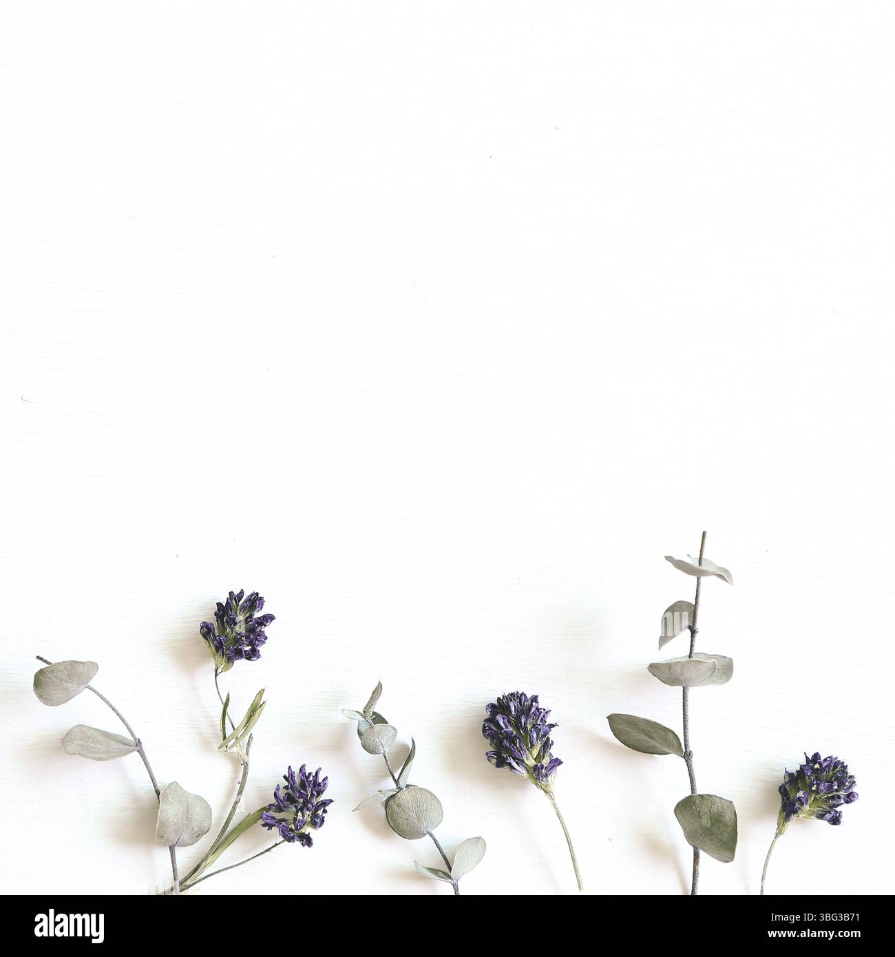 Dry flower frame Cut Out Stock Images & Pictures - Alamy