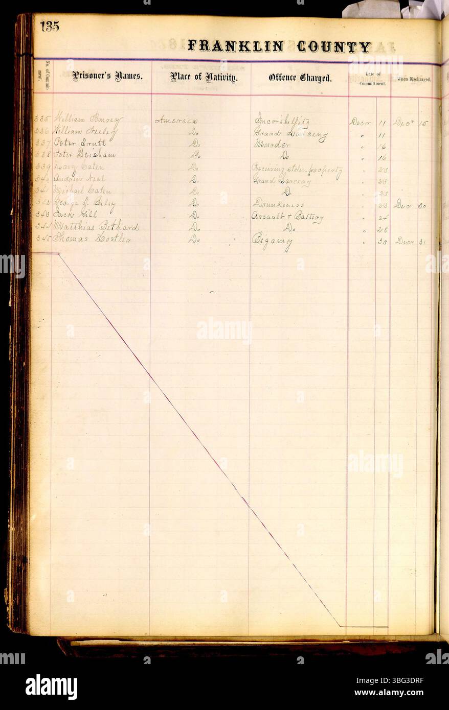 These Franklin County Jail records from 1860-1892 list prisoners' names ...