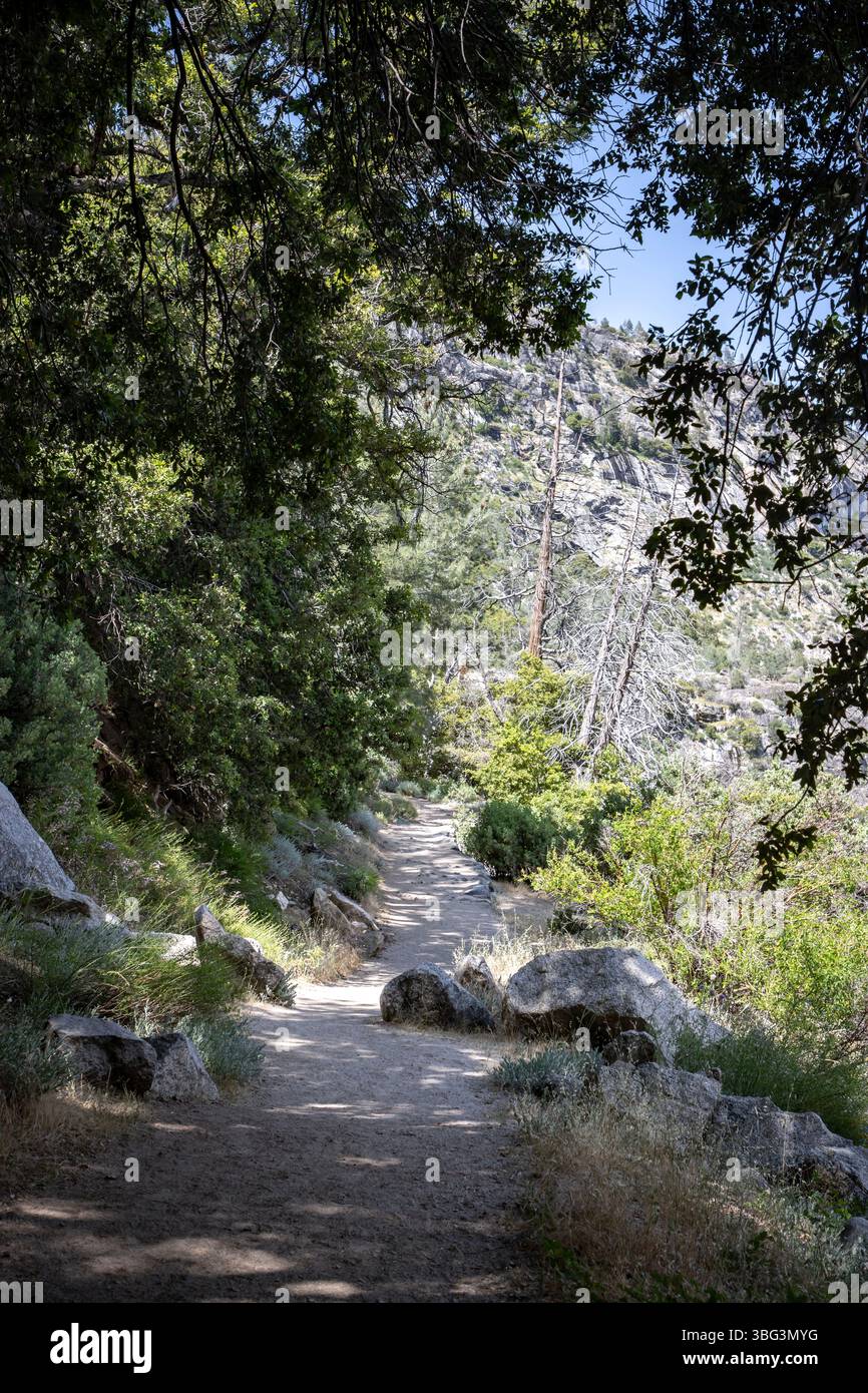 The hiking trail at Hetch Hetchy Reservoir, tucked into the northwest ...