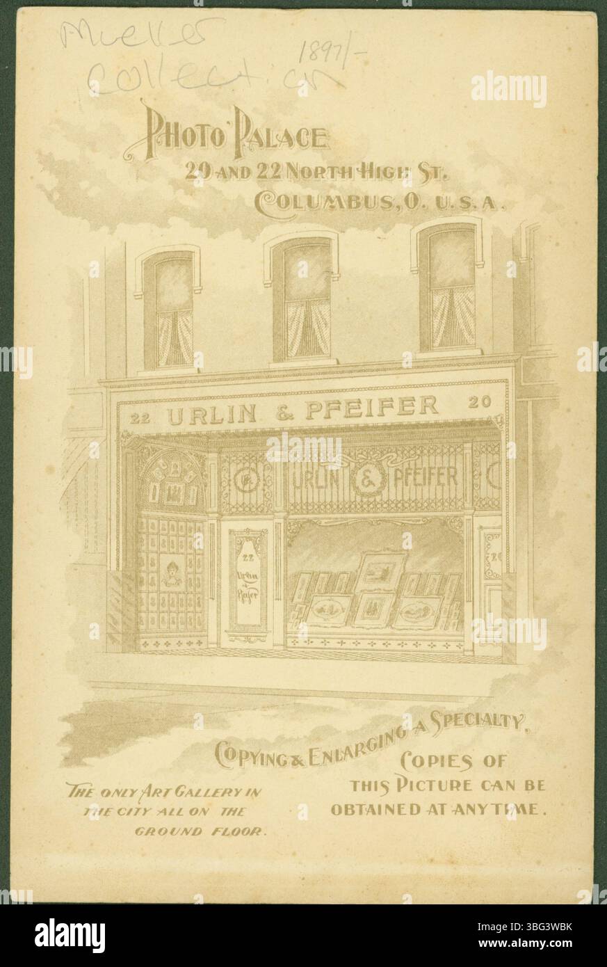 In this photo by Urlin & Pfeifer, a couple is shown in a headshot ...