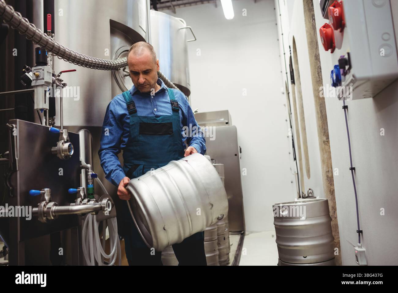 Male brewer wearing work overalls handling metal beer keg in brewery ...