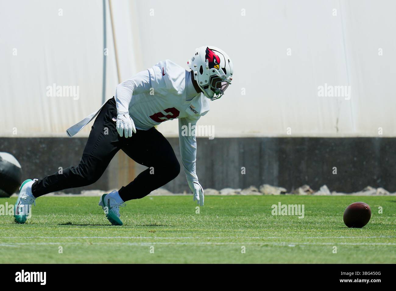 Arizona Cardinals linebacker Mack Wilson Sr. goes after a loose ball ...