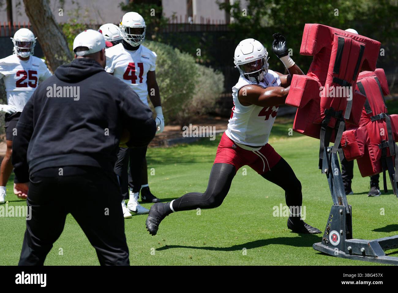 Arizona Cardinals linebacker Benton Whitley makes a block during an NFL ...