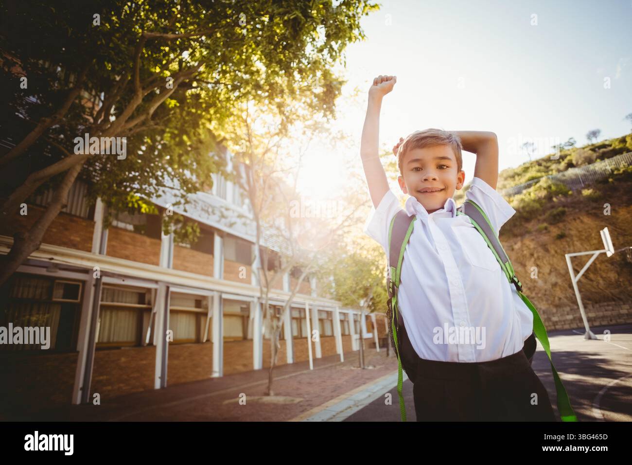 Sunlight filtering through trees casting dappled shadows on asphalt ...