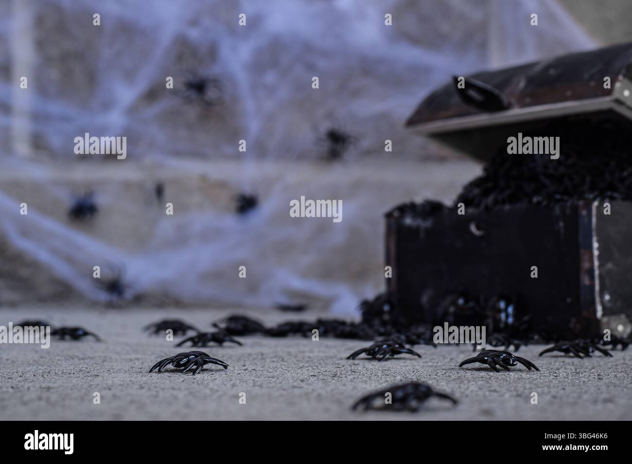 Spider web and spiders crawling out of old black chest Stock Photo - Alamy
