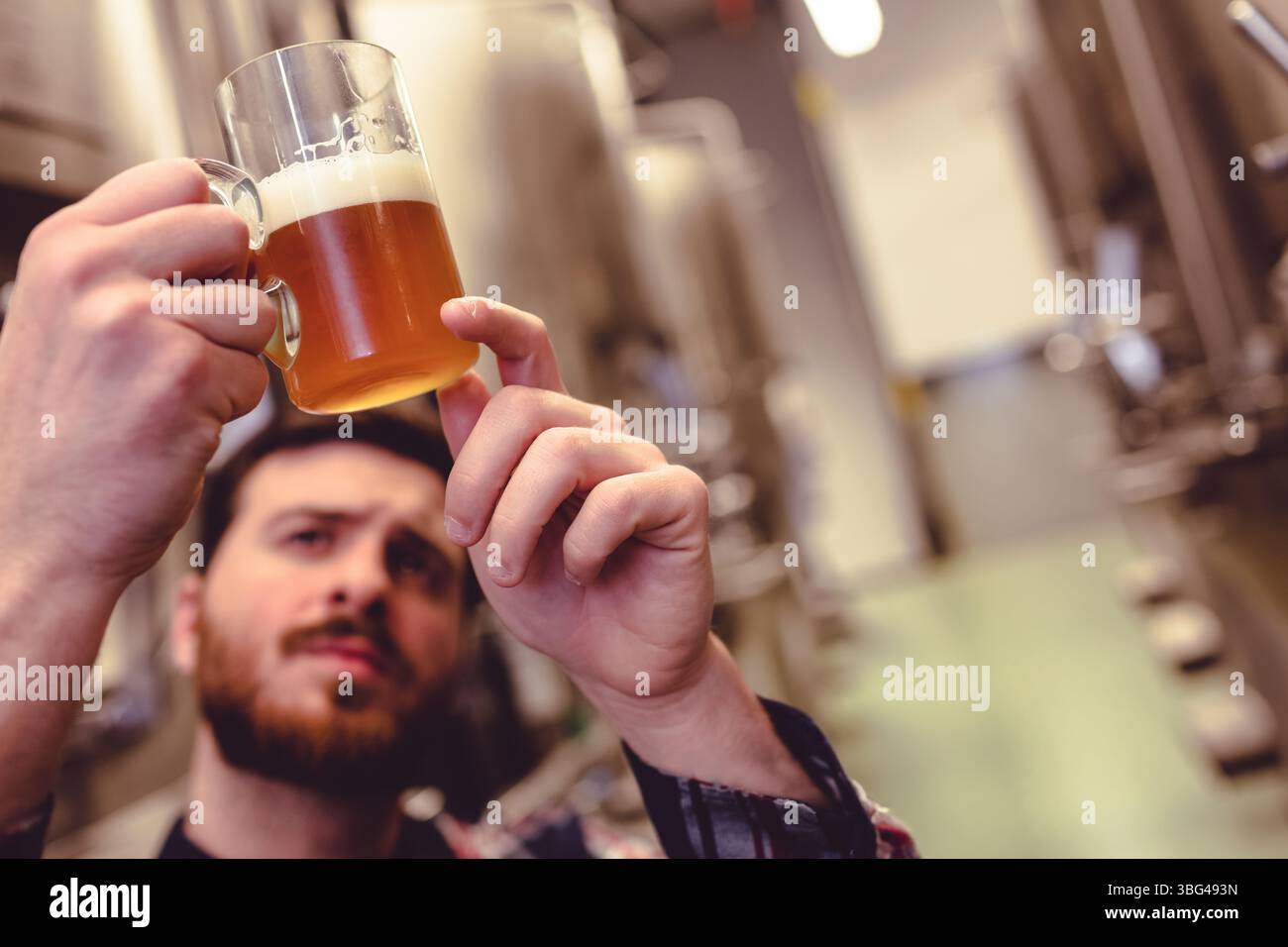 Clear glass beer mug showcasing amber liquid and froth in brewery with ...