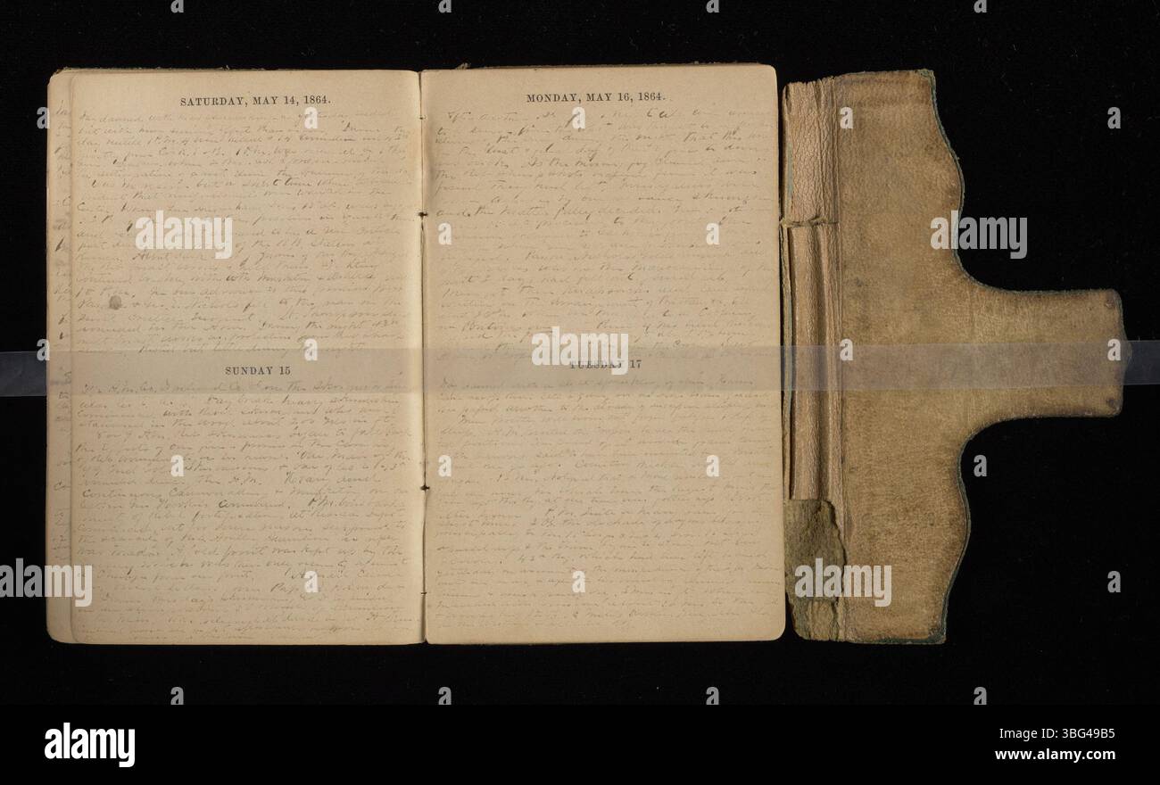 June wilkinson hi-res stock photography and images - Alamy