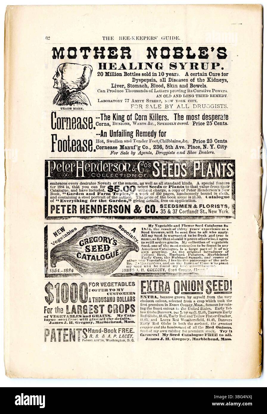 Beekeeping systems Cut Out Stock Images & Pictures - Alamy