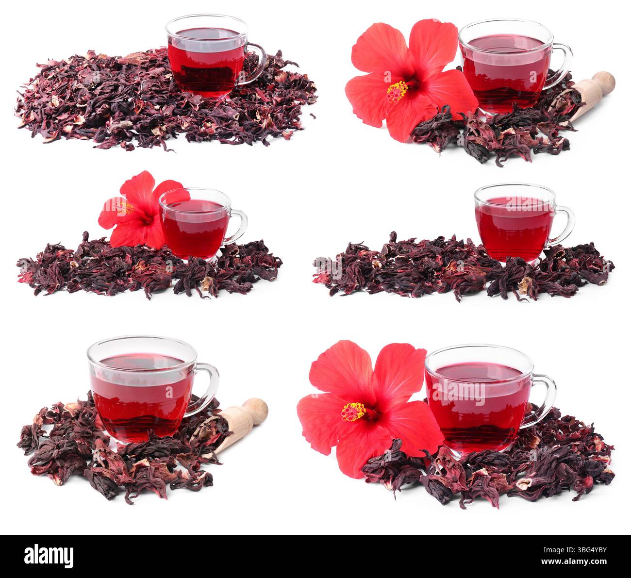 Hibiscus tea, fresh flowers and dried calyces isolated on white, set ...
