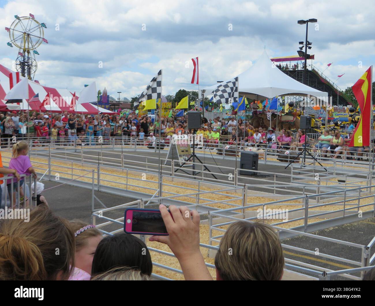Pig races at the Ohio State Fair, held in Kiddieland. The races feature ...