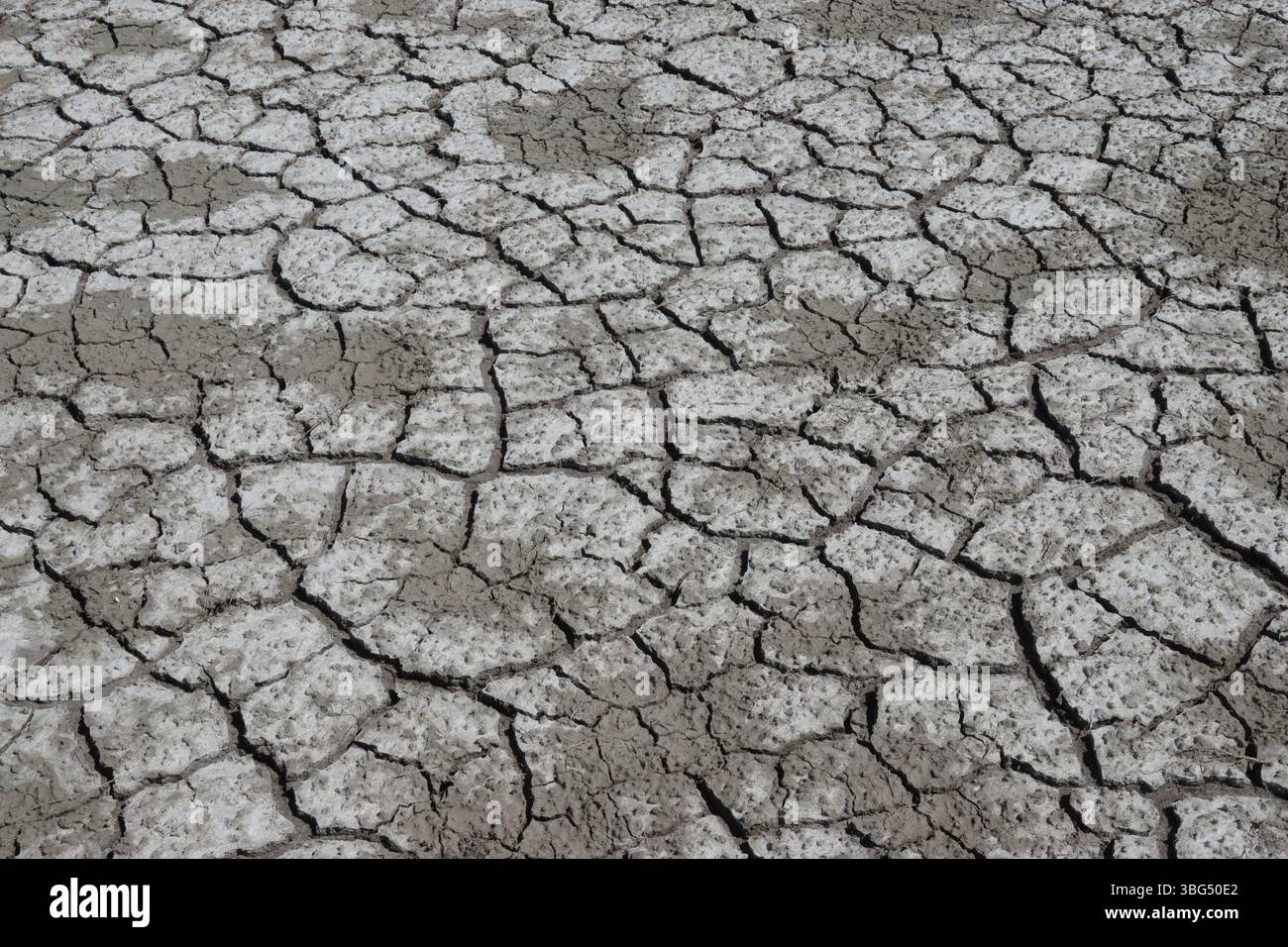 Years of drought have left this wetland high, dry and cracked. Dry mud ...
