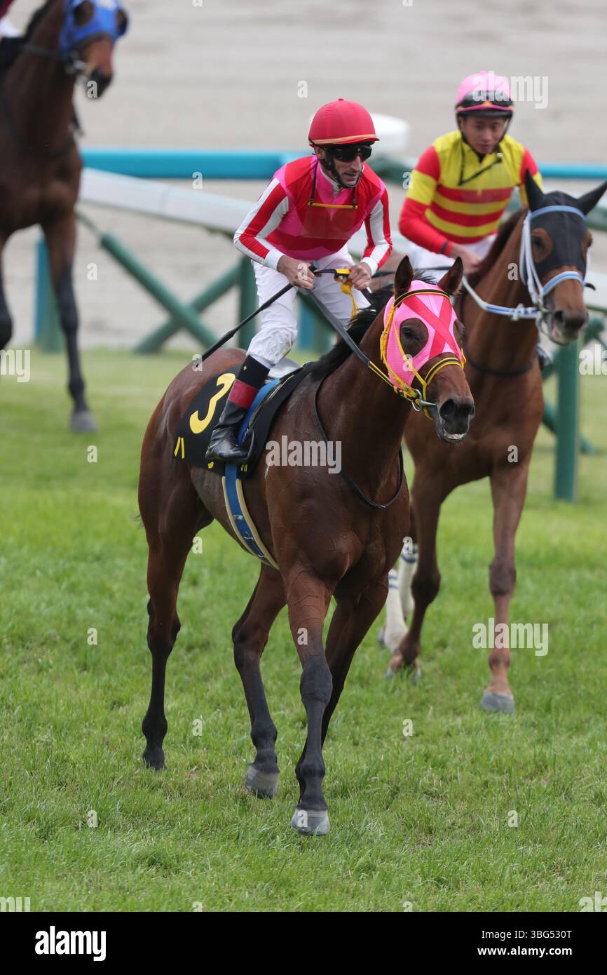 2025/05/31 KYOTO 09R HOSU STAKES / 5 / Hug / Andrasch Starke Jockey ...