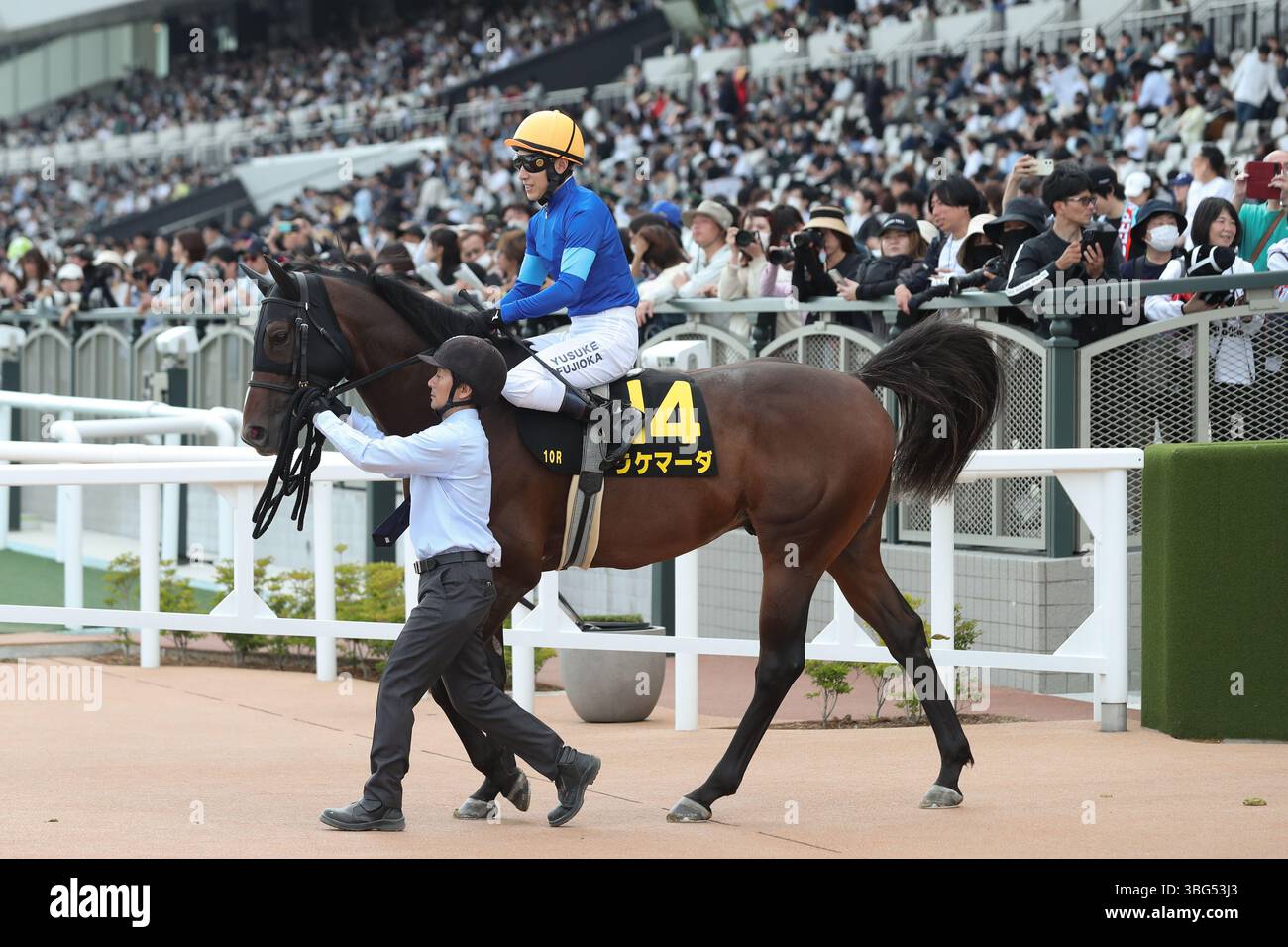 2025/06/01 KYOTO 10R AZUCHIJO STAKES /6 /La Quemada /Yusuke Fujioka ...