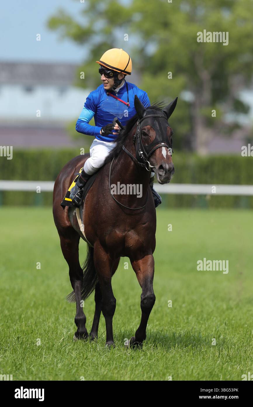 2025/06/01 KYOTO 10R AZUCHIJO STAKES /6 /La Quemada /Yusuke Fujioka ...