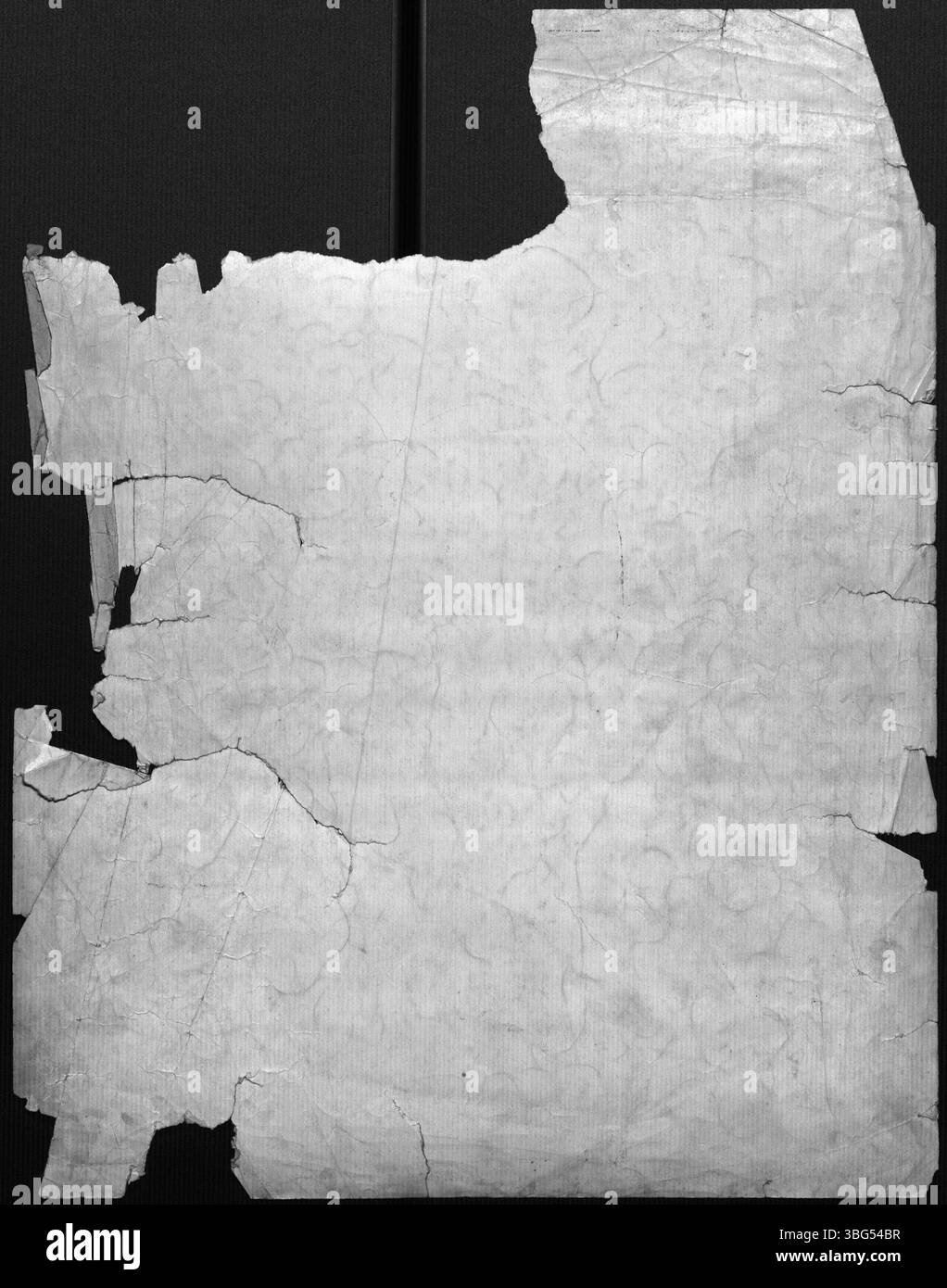 The 1902 'Odd Fellows March-Two Step' features a portrait of Florence ...