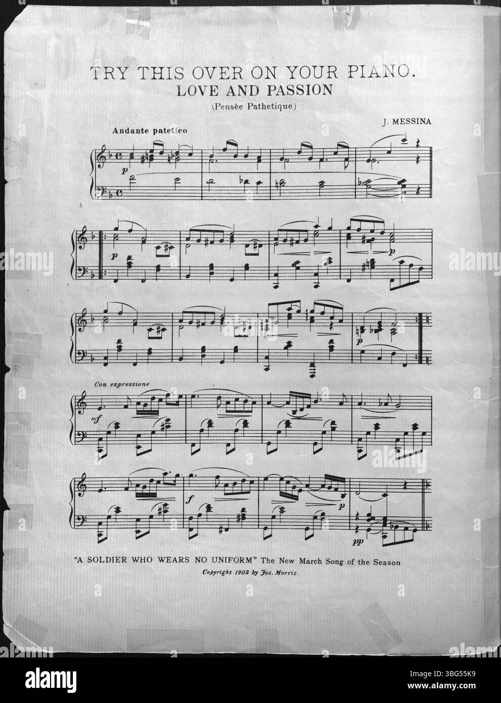 Holding two tails hi-res stock photography and images - Alamy