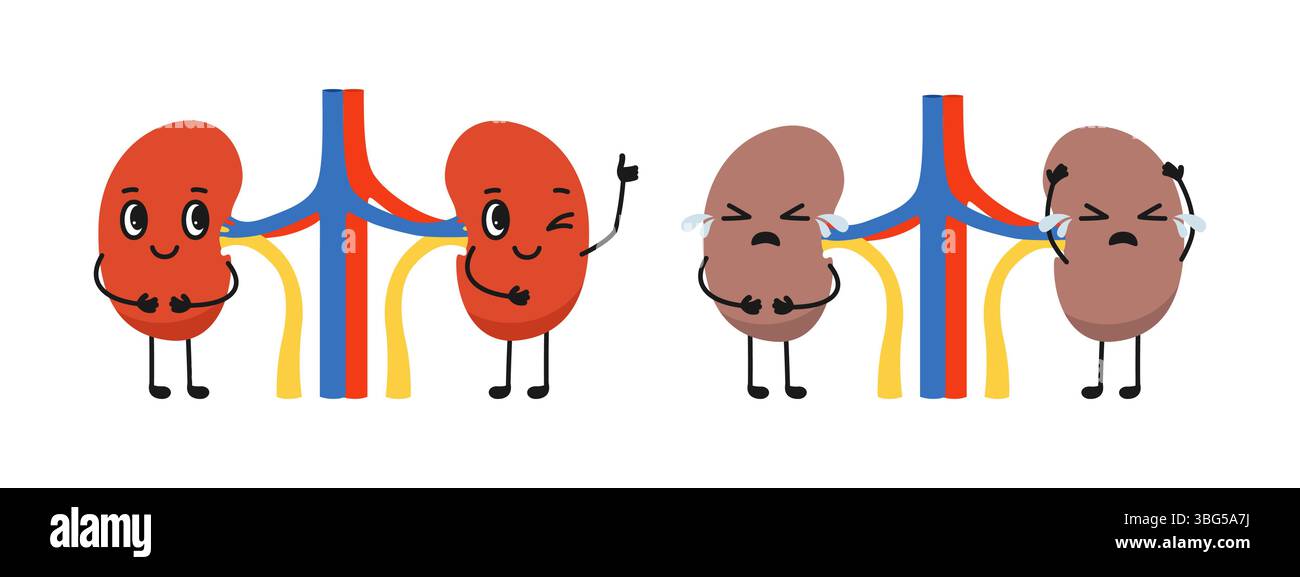 Two kidneys healthy and unhealthy cartoon childish illustration. Happy ...