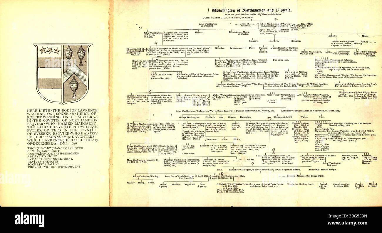The 1889 family tree of George Washington examines his English ancestry ...
