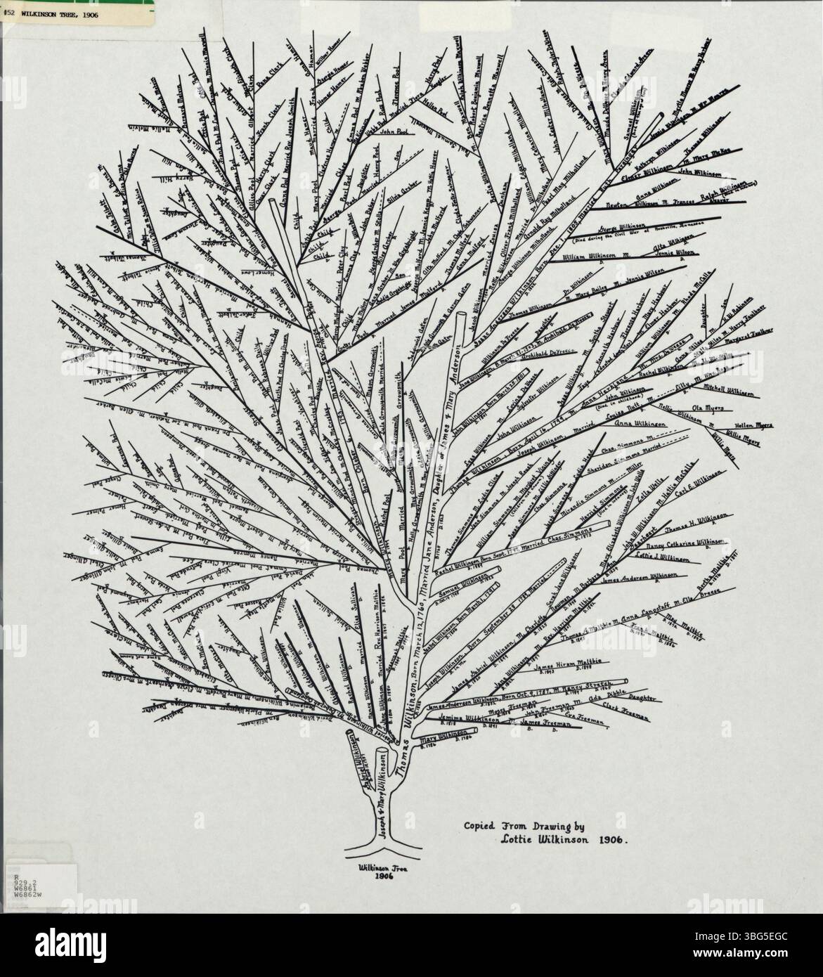 Family tree diagram hi-res stock photography and images - Alamy