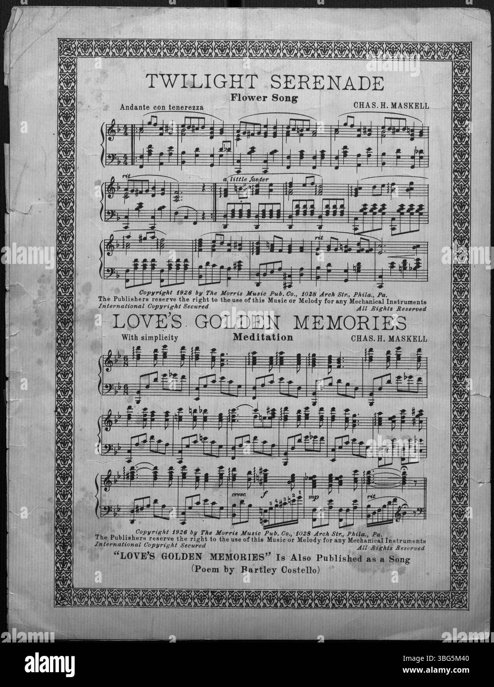 Composition bear Black and White Stock Photos & Images - Alamy