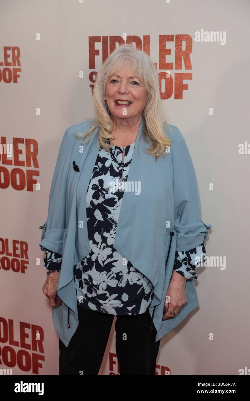 London, UK. 03rd June, 2025. Alison Steadman seen attending the press ...