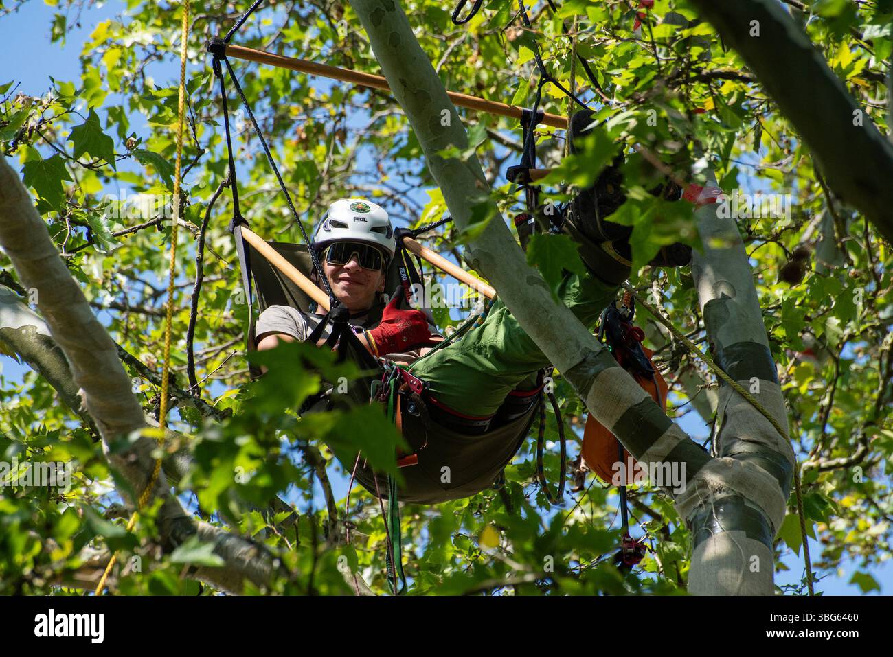 Tata, Hungary. 31st May, 2025. One of the judges sits in his hammock ...
