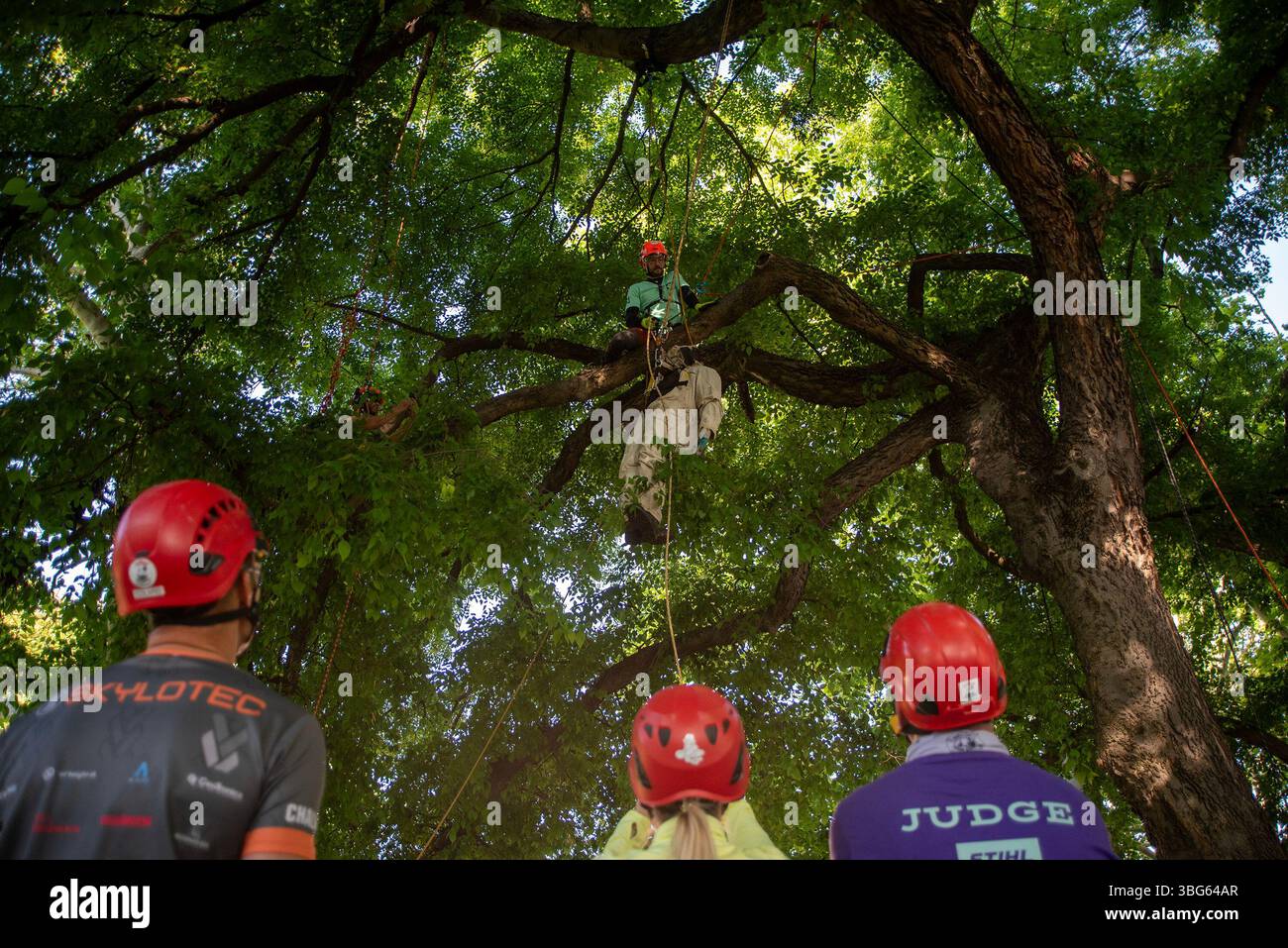 The judges are staring the competitor how he completes the rescue task ...